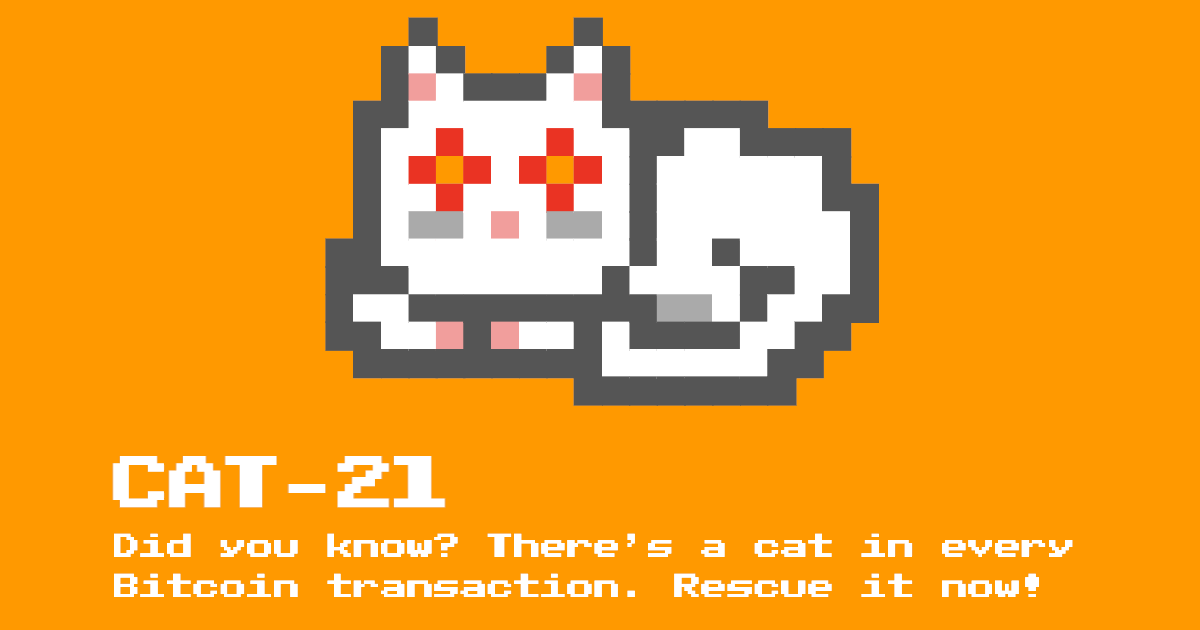 🟧 CAT-21 - Rescue the cats!